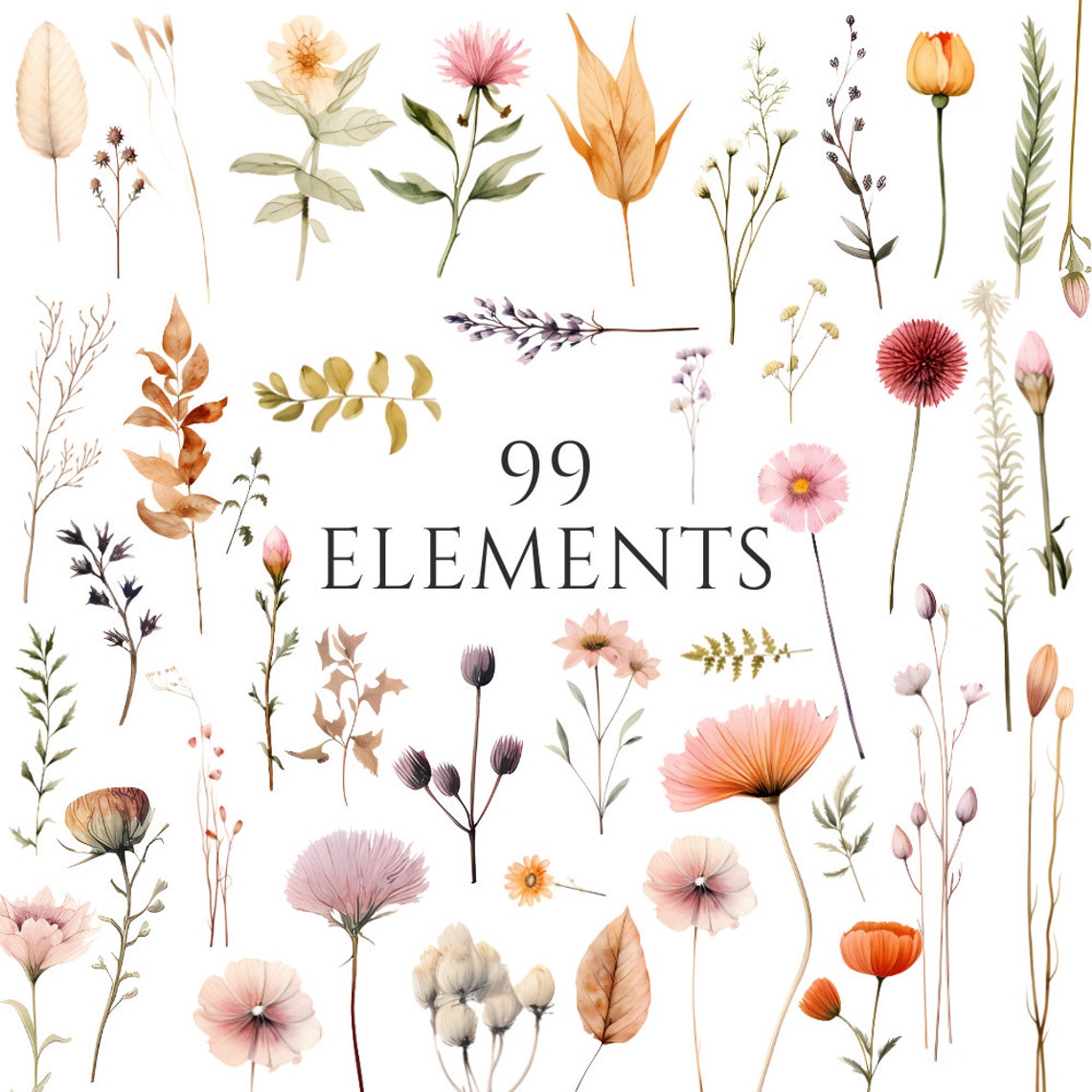 Wild Boho Flowers PNG Bundle Transparent Full Commercial License ...