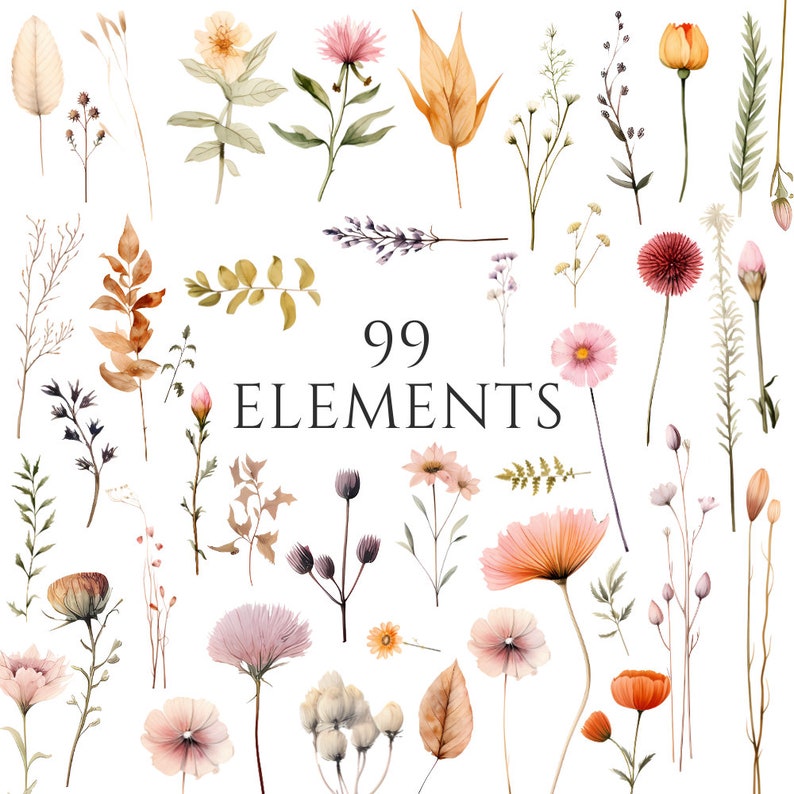 Wild Boho Flowers PNG Bundle Transparent Full Commercial License ...