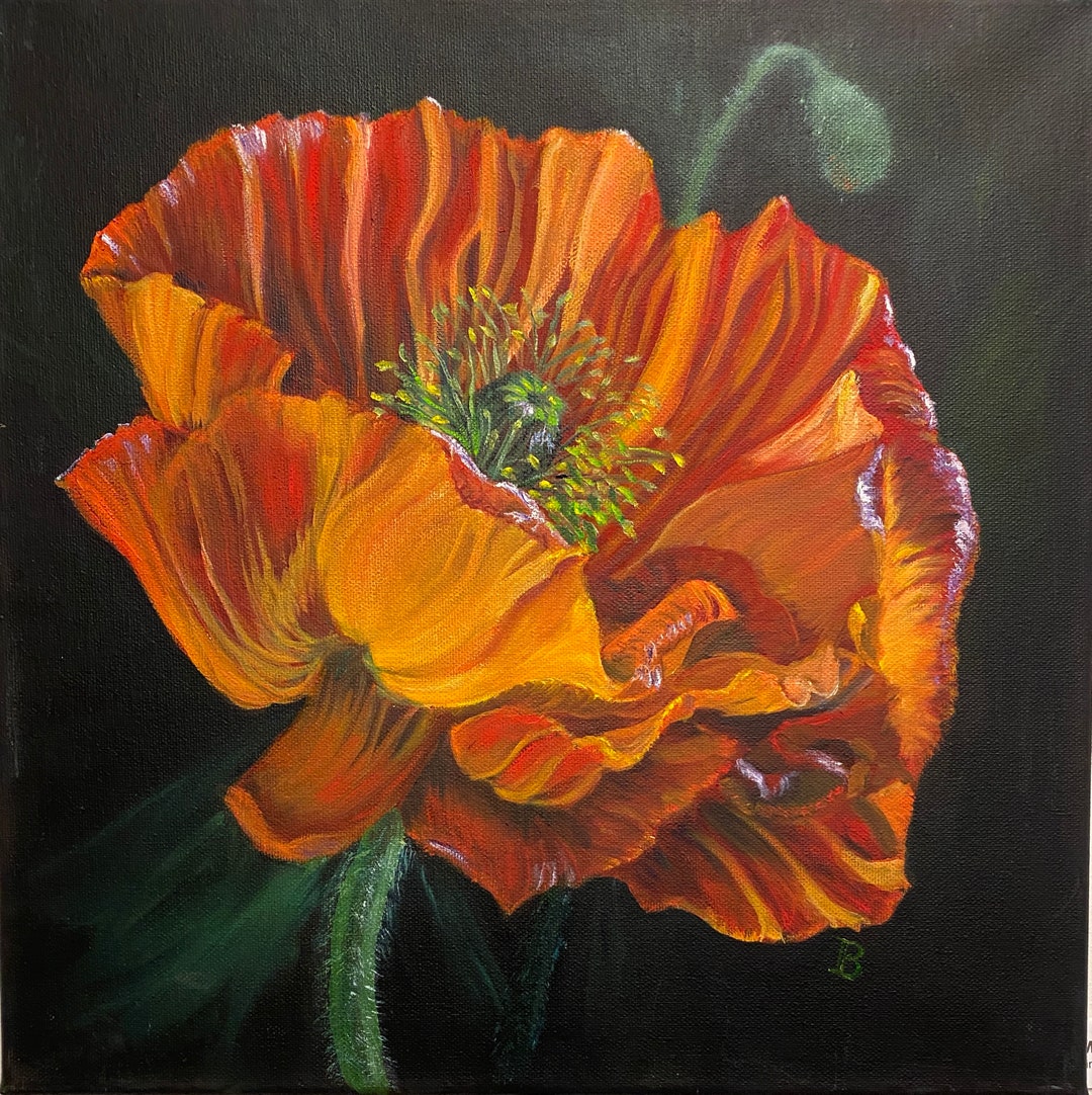 Flame of Passion: Red Poppy on a Black Background Oil Painting Square ...