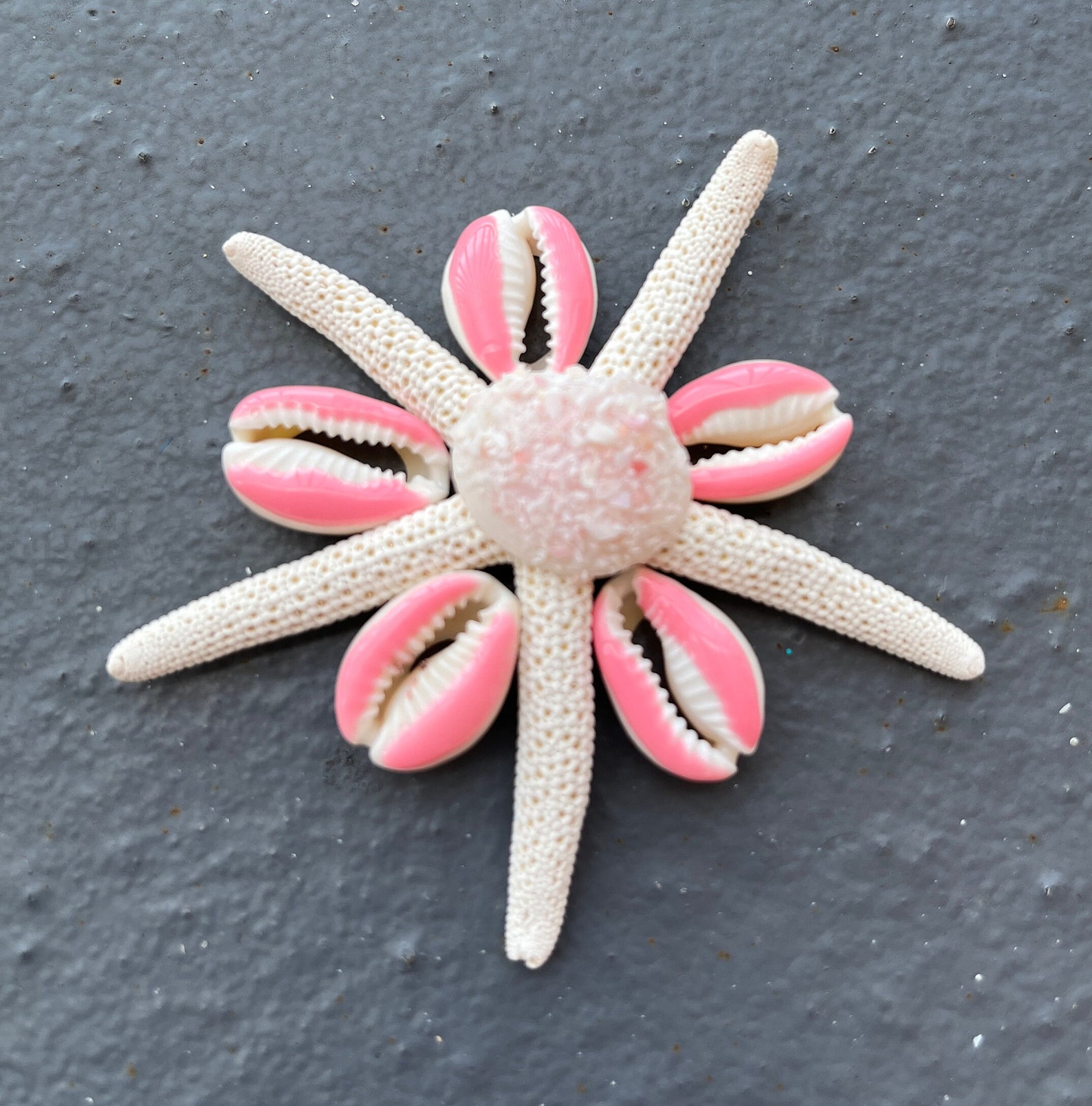 3 Starfish, White Finger Star Fish, 3 - Etsy