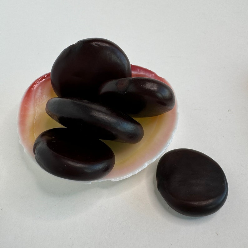 6 Lucky Sea Beans, Beautiful Rich Dark Brown Sea Beans Have a Smooth ...