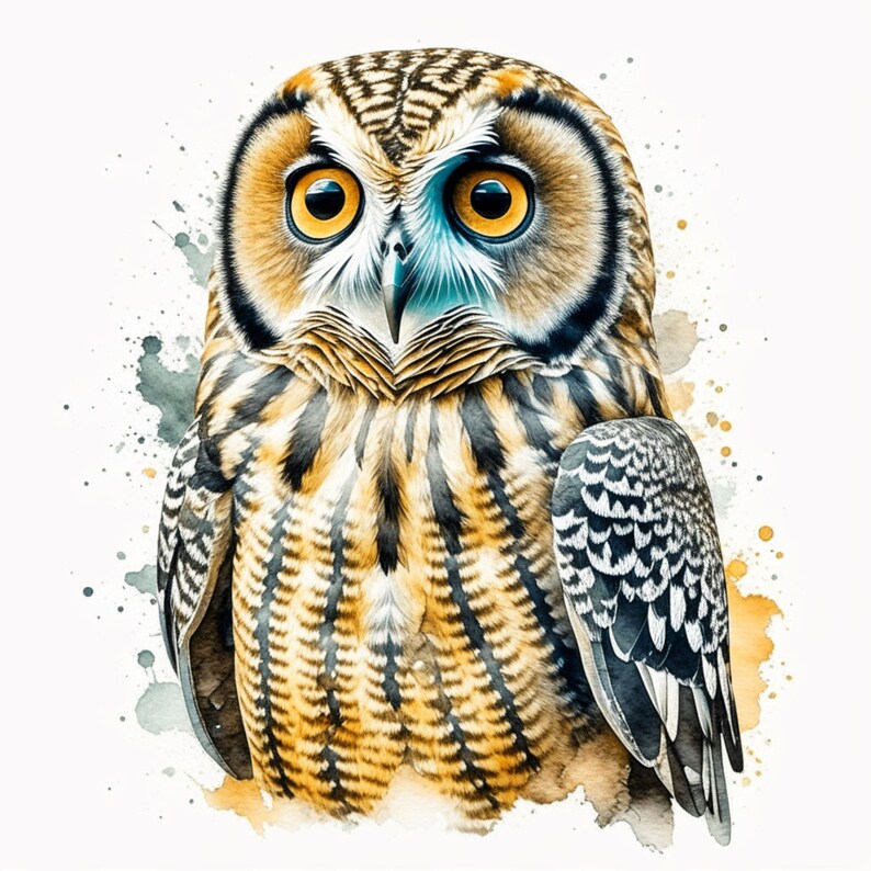 Barred Owl Digital Clip Art | Birds Clipart | 15 High Quality Jpgs ...
