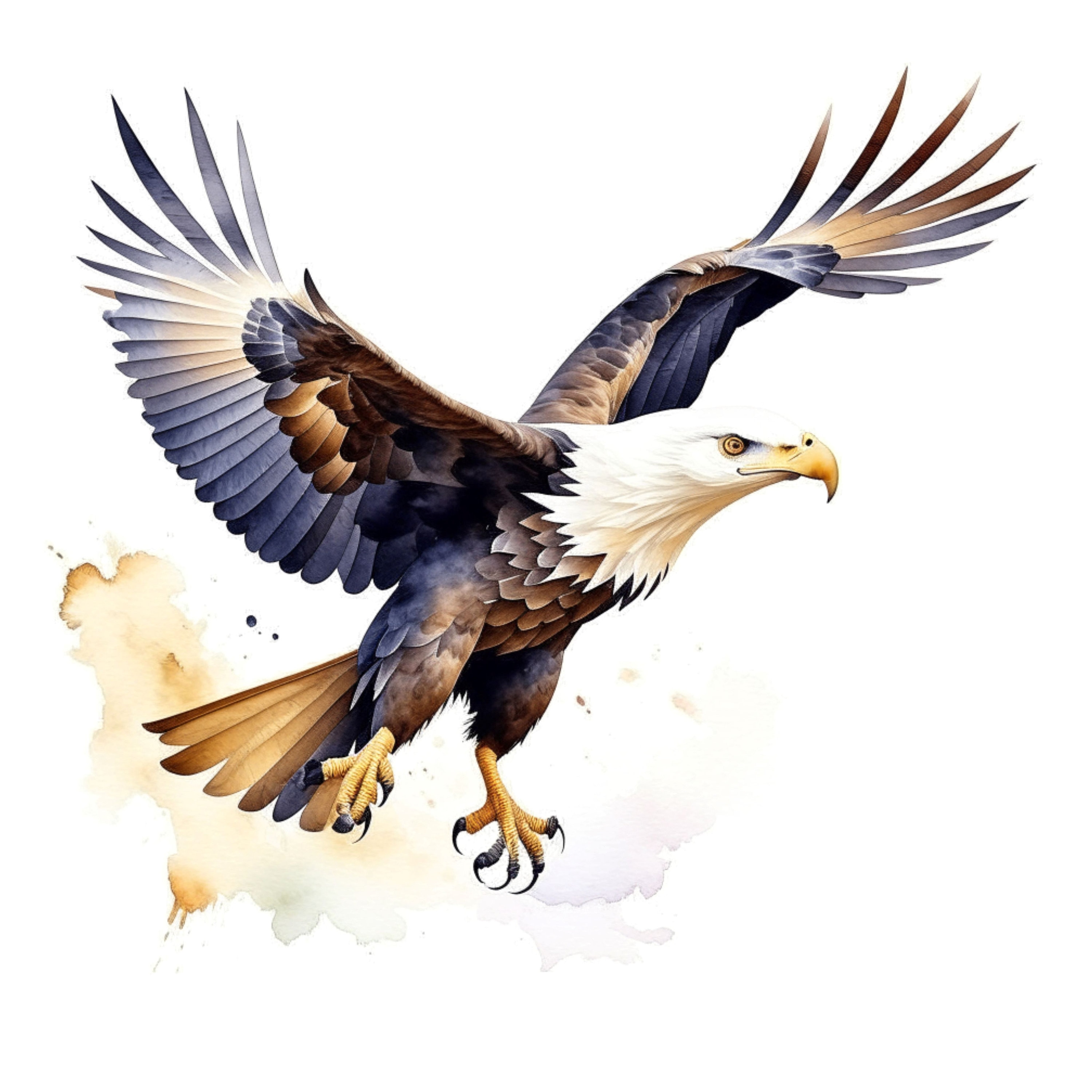 Bald Eagle Digital Art | Birds Clipart | 10 High Quality Jpgs | Digital ...