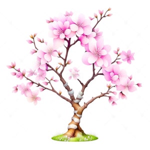 Cherry Blossoms Digital Art | Clipart | 10 High Quality Jpgs | Digital ...