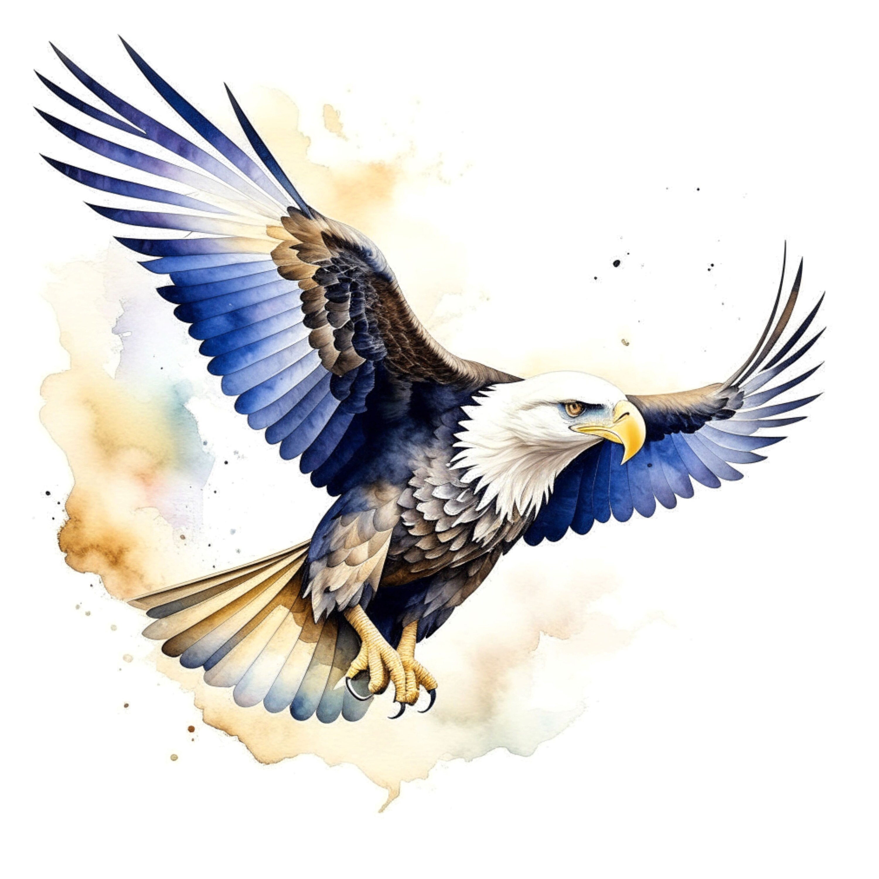 Bald Eagle Digital Art | Birds Clipart | 10 High Quality Jpgs | Digital ...