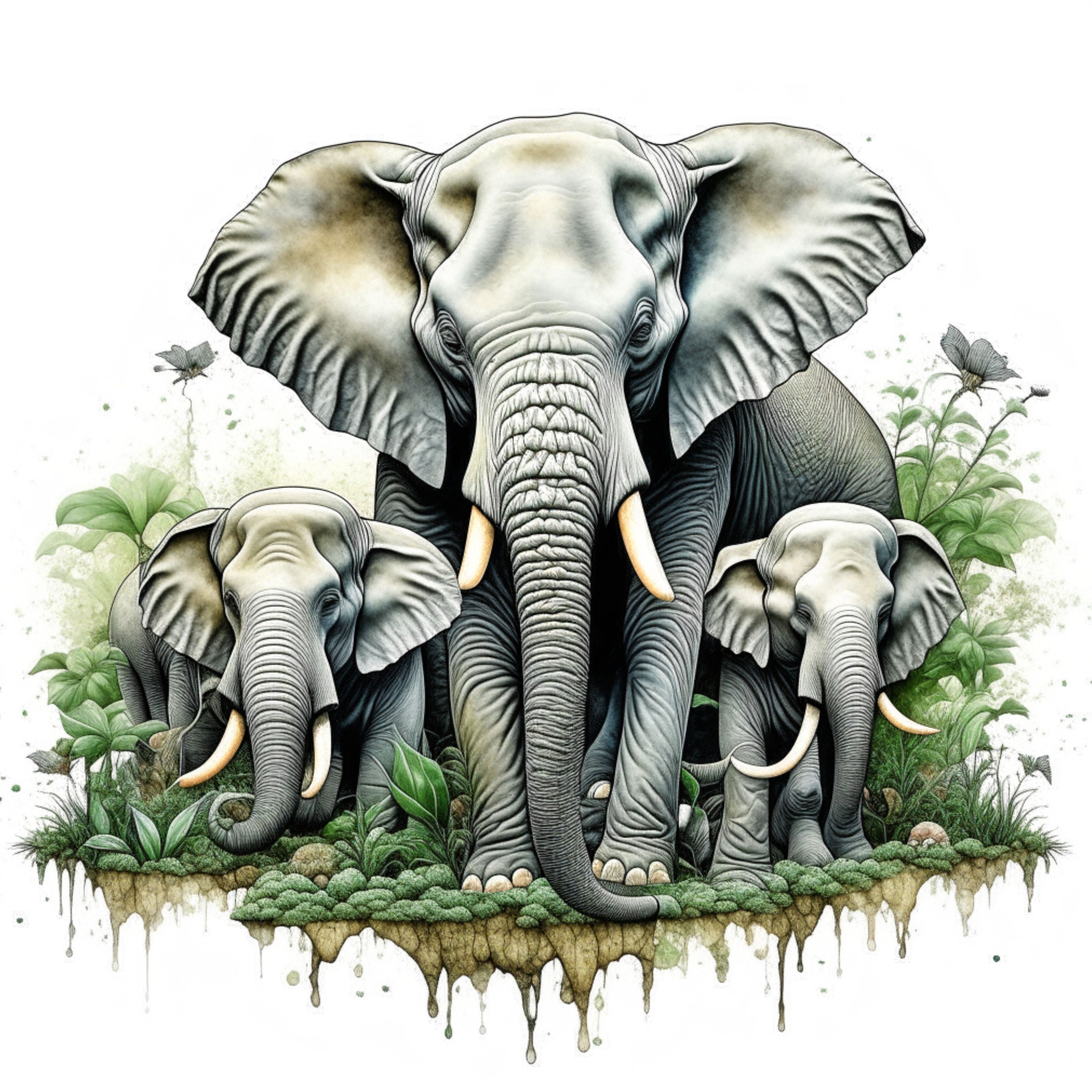 Elephants Digital Art Elephant Clipart 15 High Quality Jpgs Digital ...