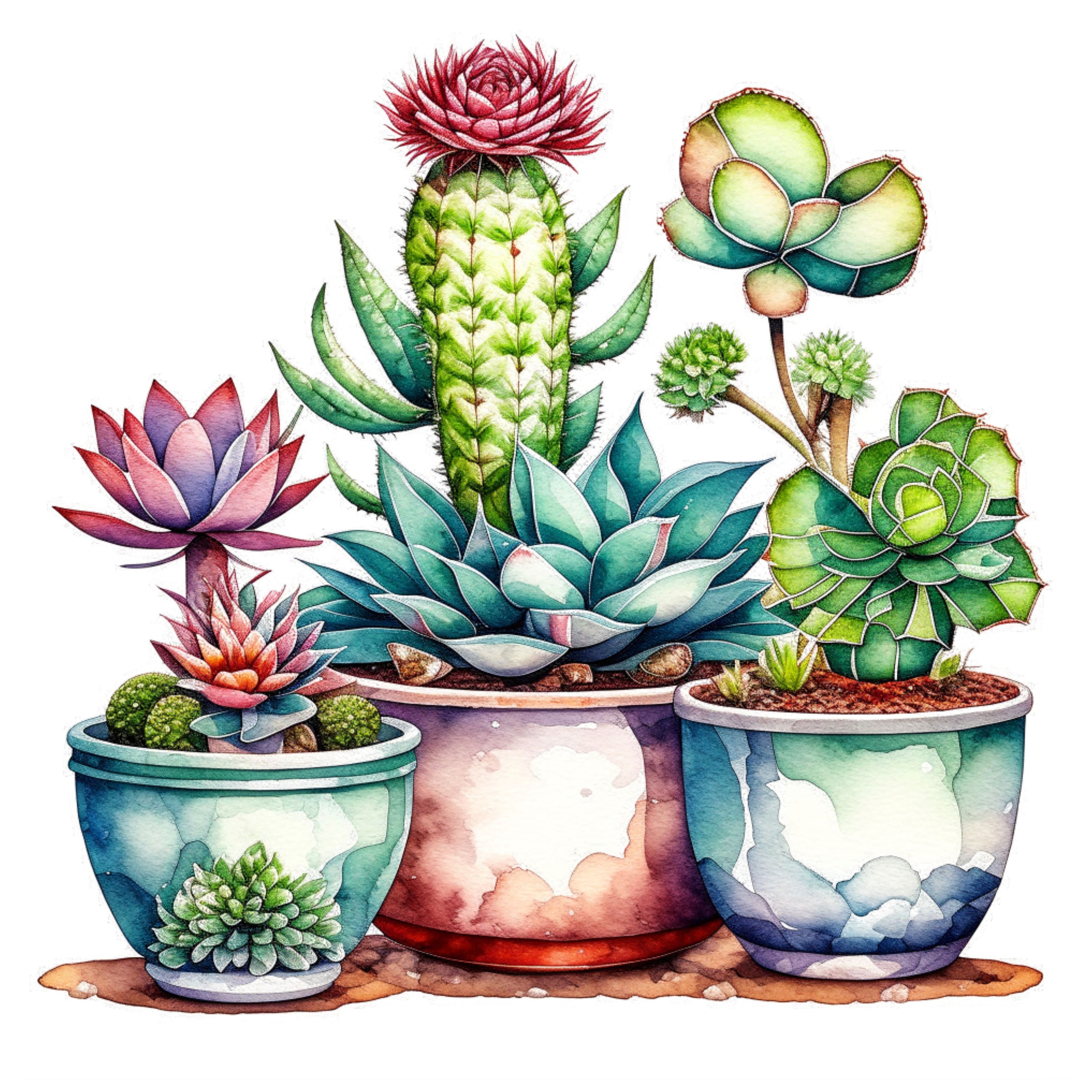 Succulents Digital Art | Clipart | 10 High Quality Jpgs | Digital ...