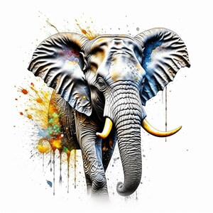 Elephants Digital Art Elephant Clipart 15 High Quality Jpgs Digital ...