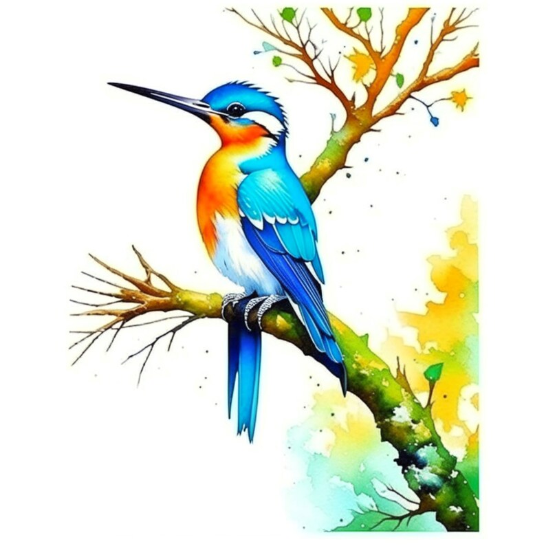 Common Kingfisher Digital Art | Birds Clipart | 10 High Quality Jpgs ...