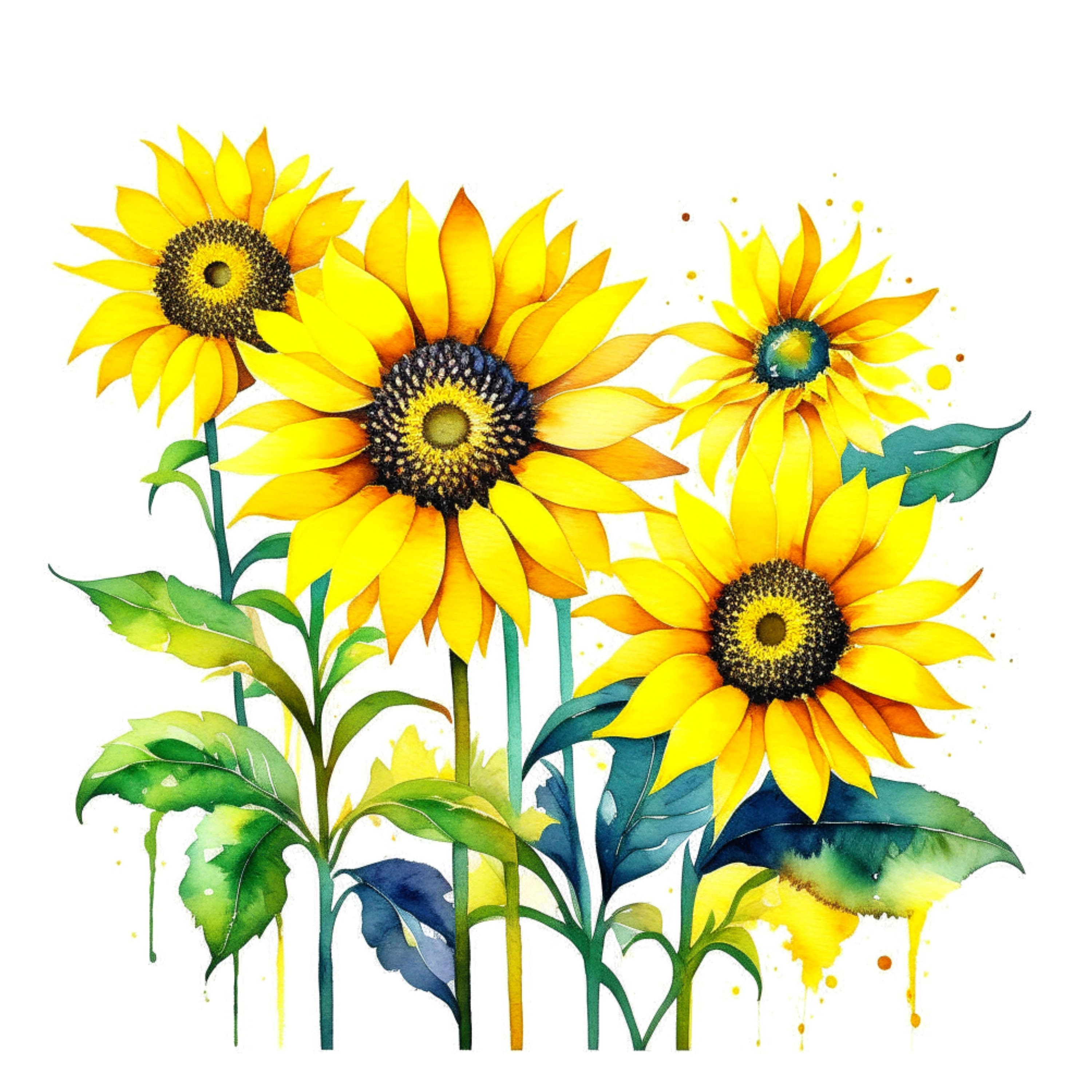Sunflowers Digital Art Flowers Clipart 10 High Quality Jpgs Digital ...