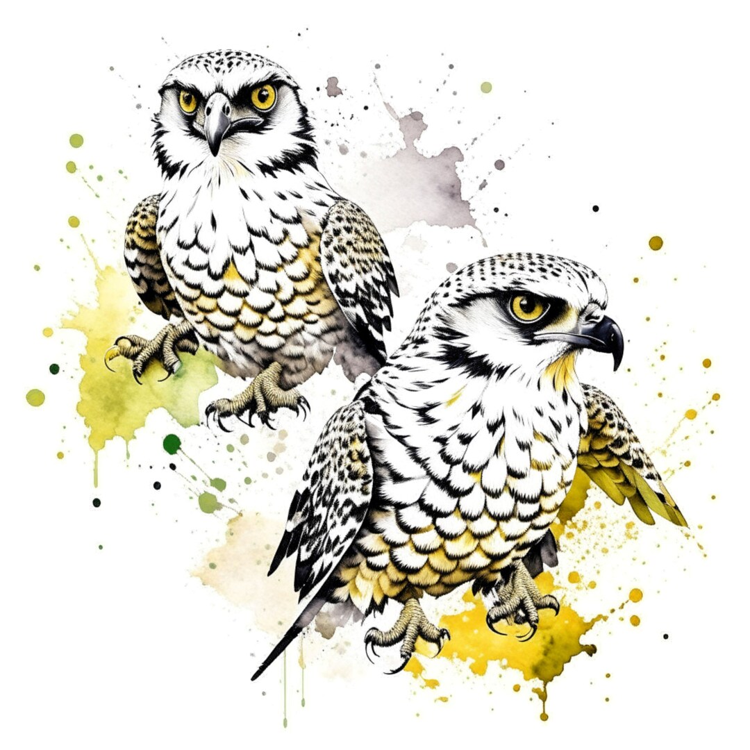 Osprey Digital Art | Birds Clipart | 15 High Quality Jpgs | Digital ...