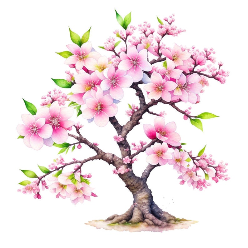 Cherry Blossoms Digital Art Clipart 10 High Quality Jpgs Digital ...