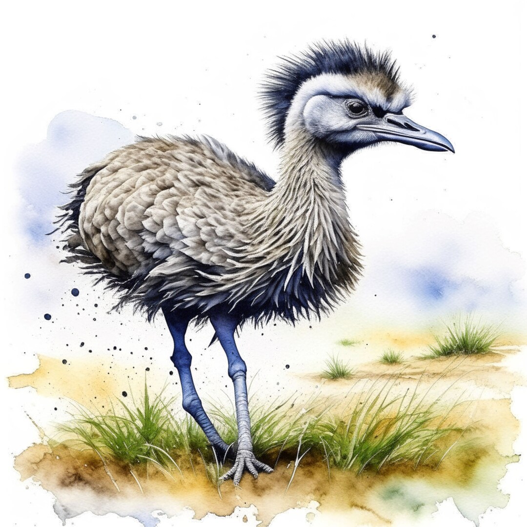 Ostrich Digital Art | Clipart | 15 High Quality Jpgs | Digital Download ...