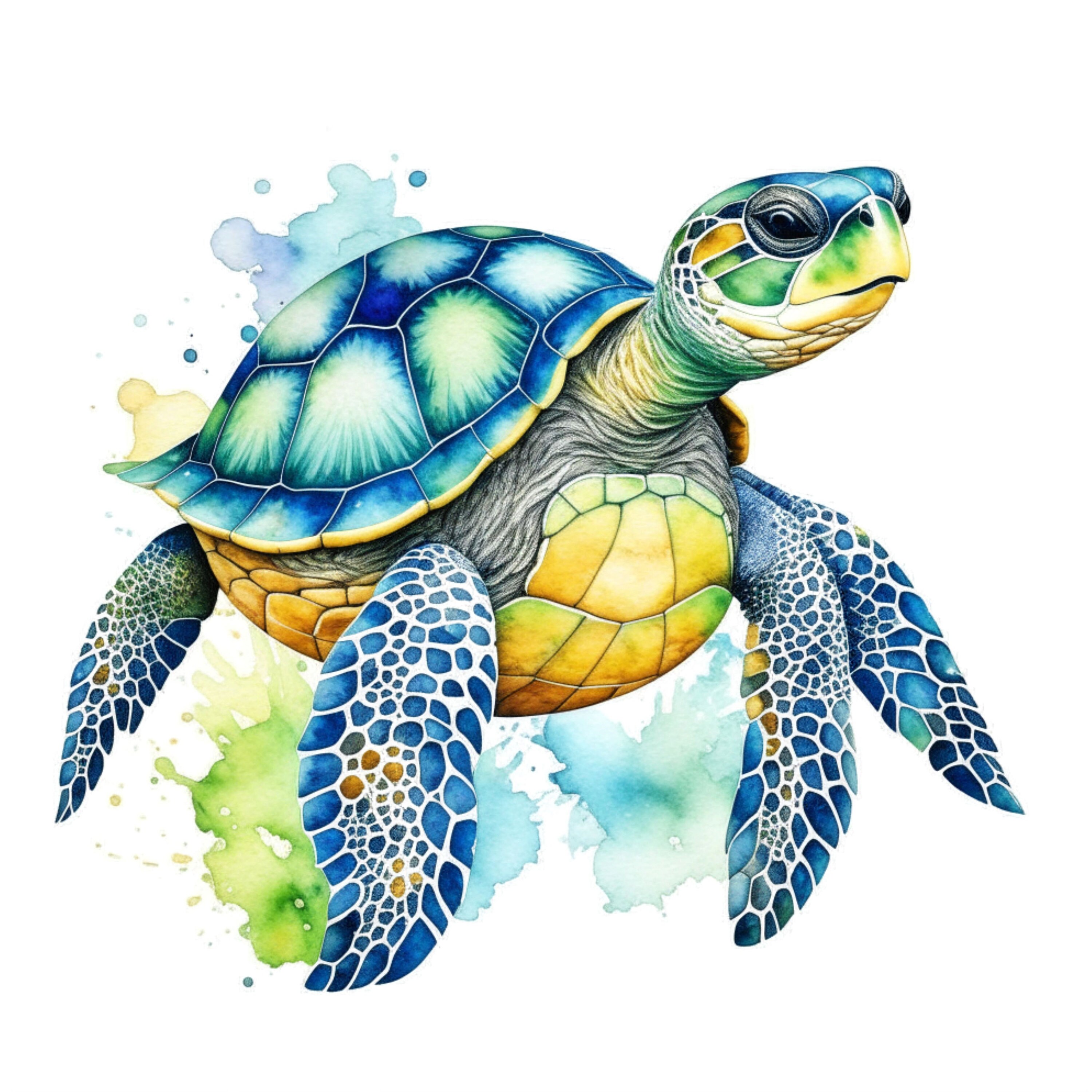 Sea Turtles Digital Art | Sea Tuttle Clipart | 10 High Quality Jpgs ...
