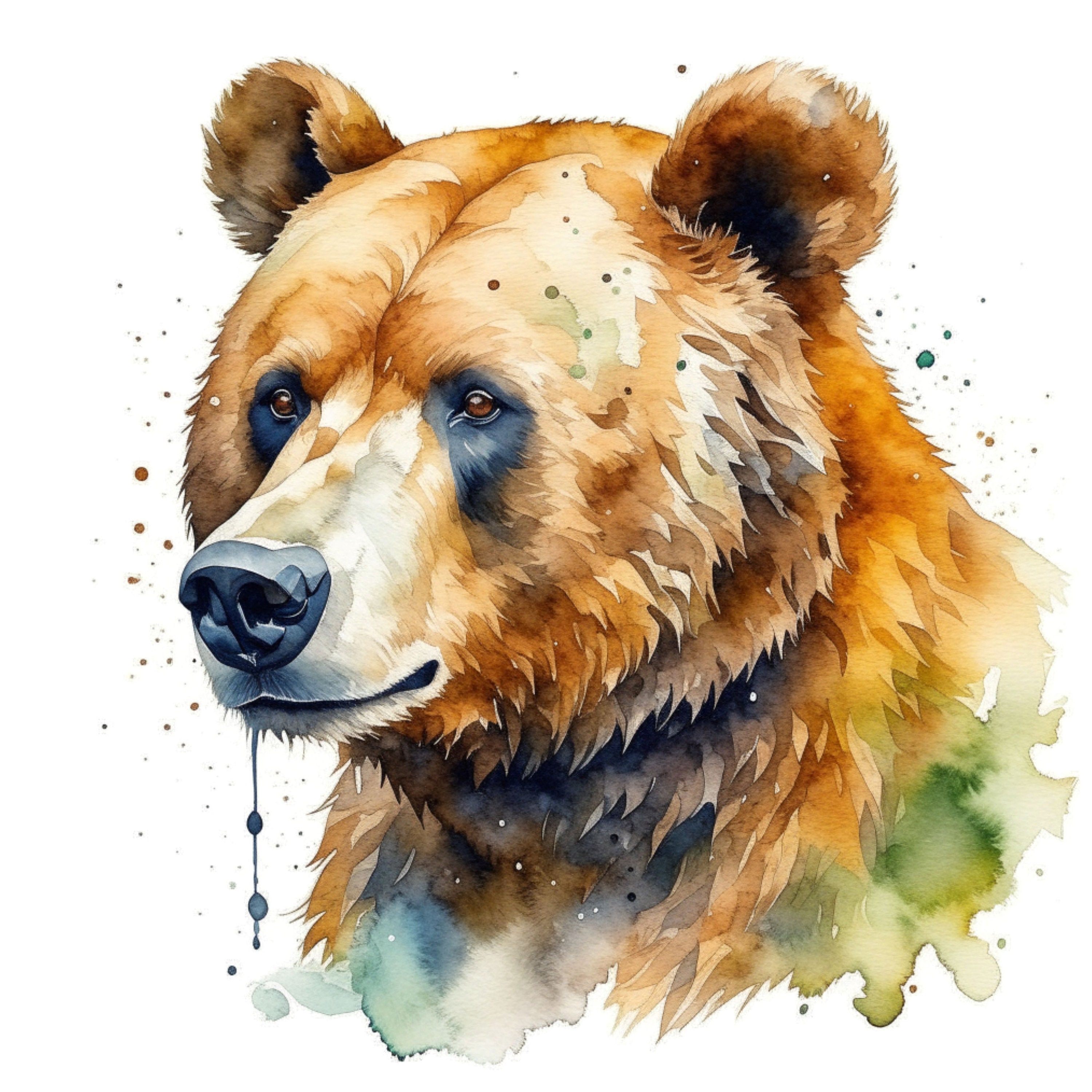 Watercolor Bear Digital Art | Bears Clipart | 10 High Quality Jpgs ...