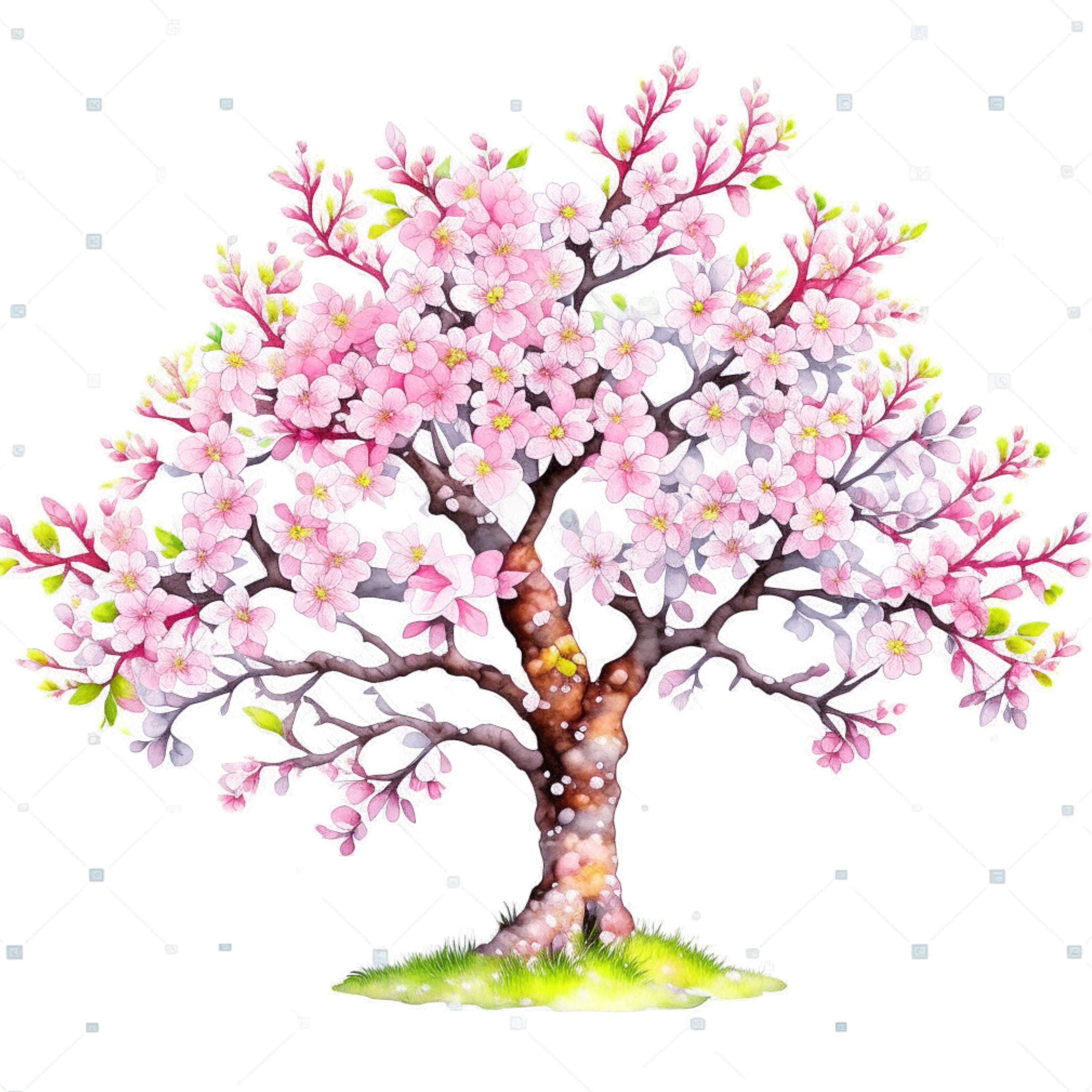Cherry Blossoms Digital Art | Clipart | 10 High Quality Jpgs | Digital ...