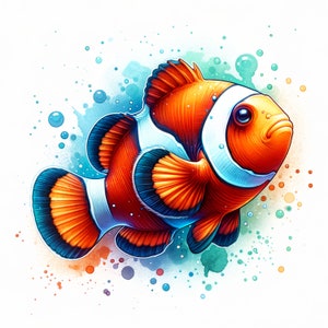 Clownfish Digital Art | Clipart Bundle | 15 High Quality Jpgs | Digital ...
