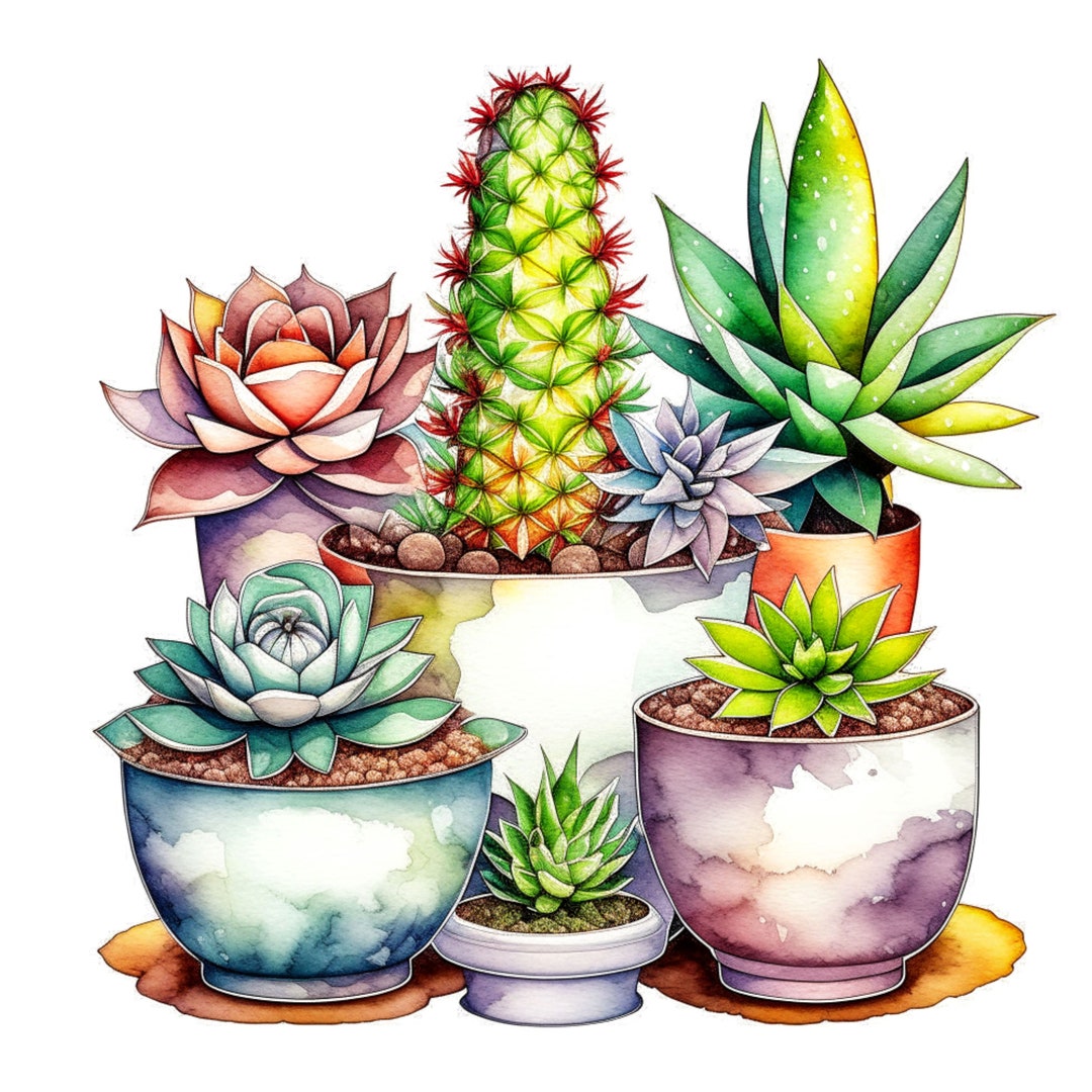 Succulents Digital Art | Clipart | 10 High Quality Jpgs | Digital ...