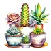 Succulents Digital Art | Clipart | 10 High Quality Jpgs | Digital ...