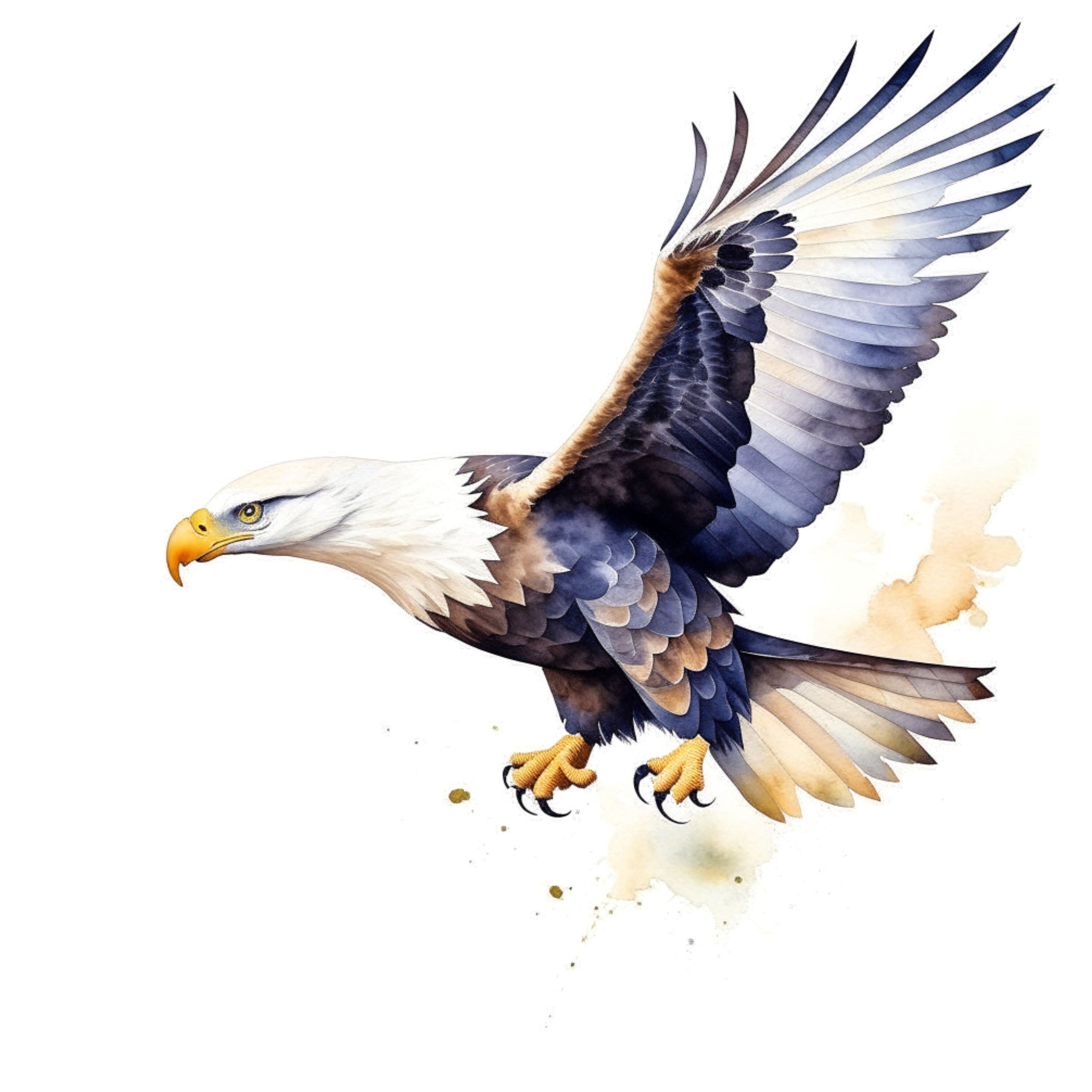 Bald Eagle Digital Art | Birds Clipart | 10 High Quality Jpgs | Digital ...
