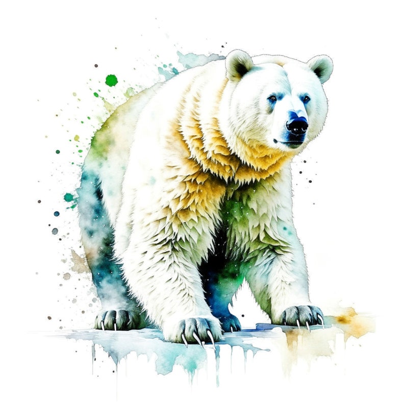 Polar Bear Digital Art Bears Clipart 15 High Quality Jpgs Digital ...