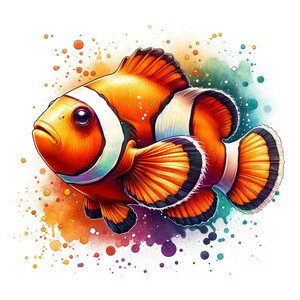 Clownfish Digital Art | Clipart Bundle | 15 High Quality Jpgs | Digital ...