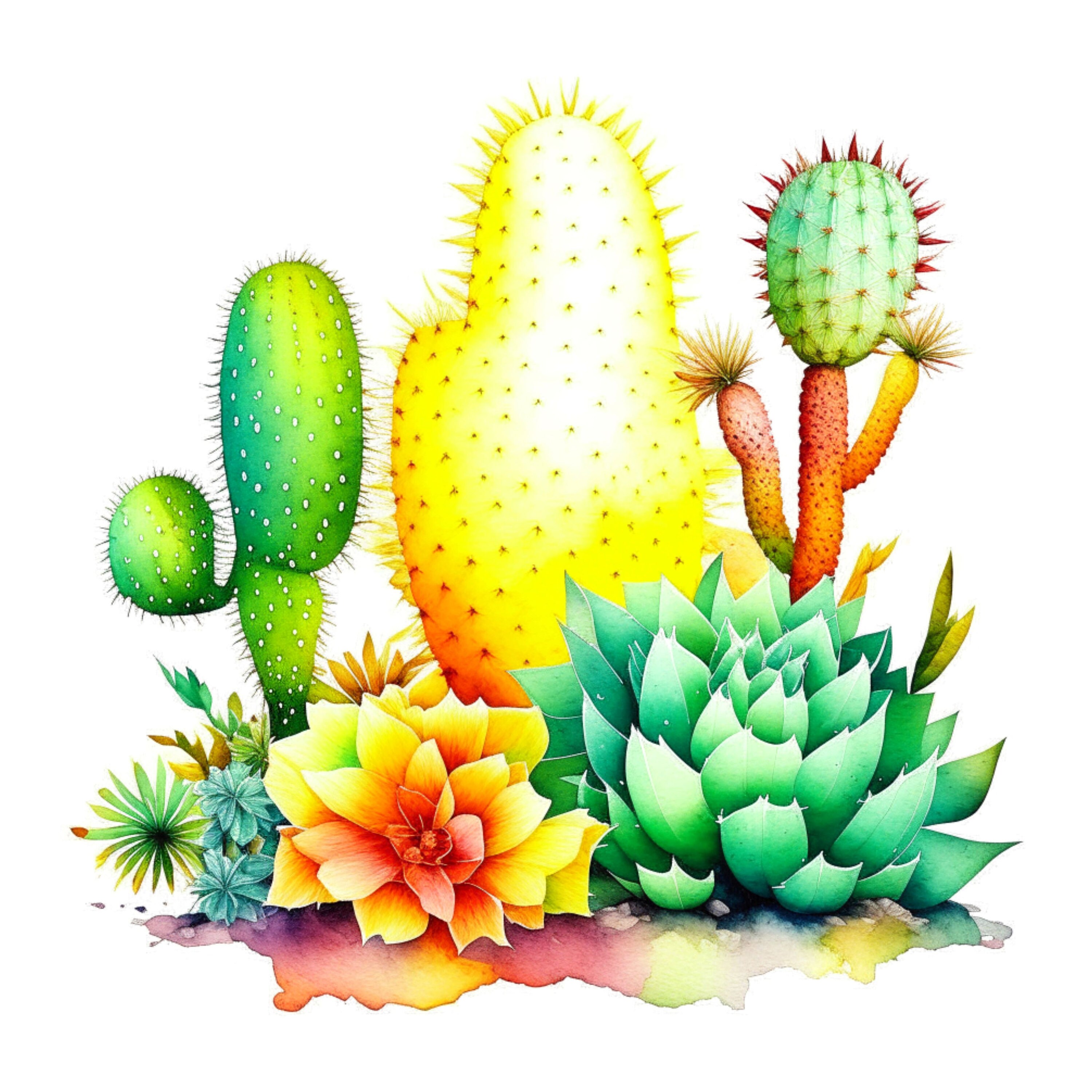 Flowering Cacti Digital Art Cactus Clipart 10 High Quality Jpgs Digital ...