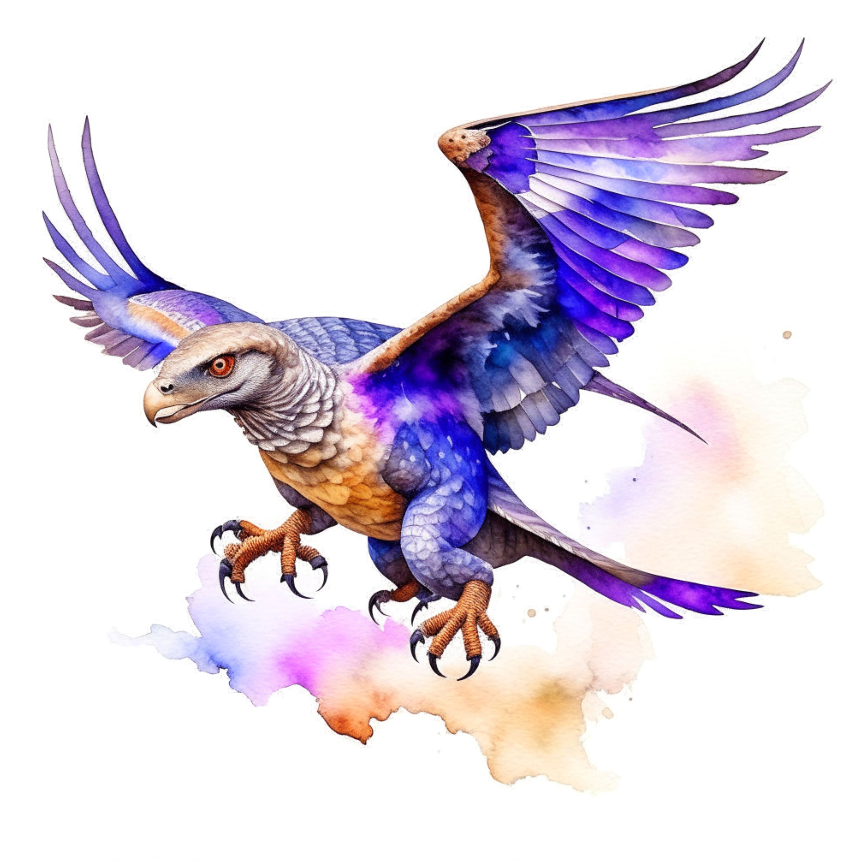 Raptors Digital Art | Birds Clipart | 10 High Quality Jpgs | Digital ...