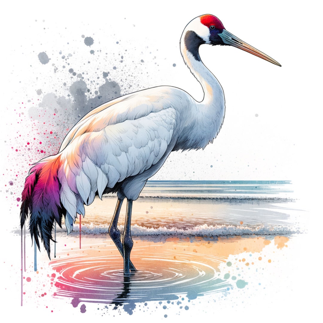 Whooping Crane Digital Art | Clipart Bundle | 15 High Quality Jpgs ...