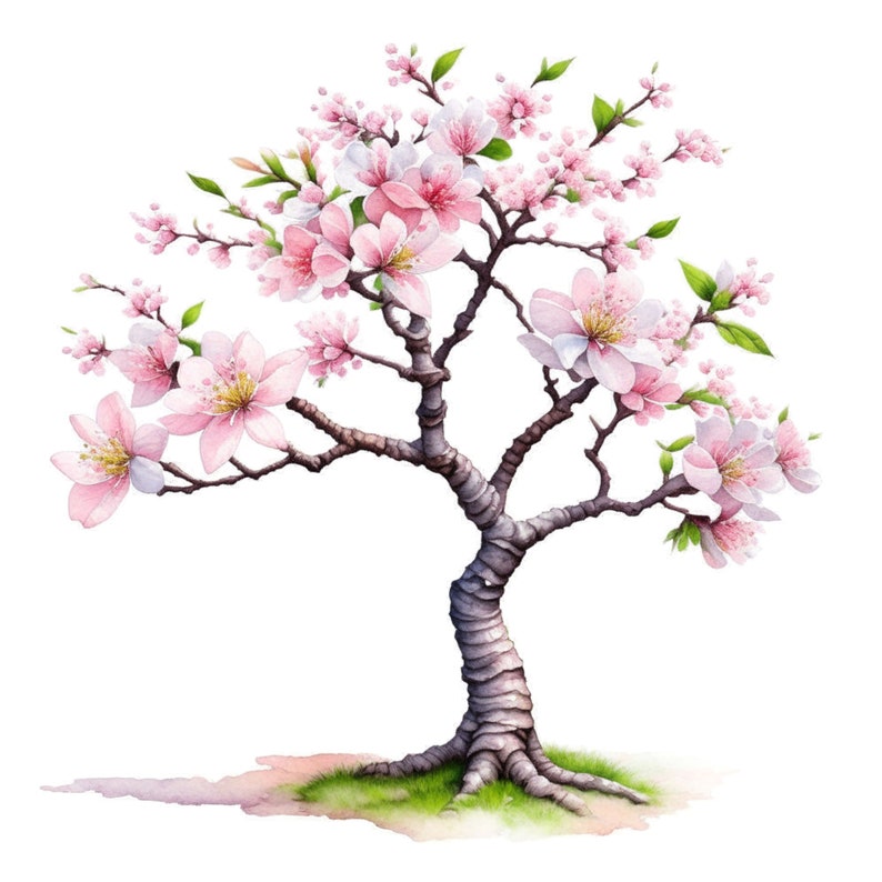 Cherry Blossoms Digital Art | Clipart | 10 High Quality Jpgs | Digital ...