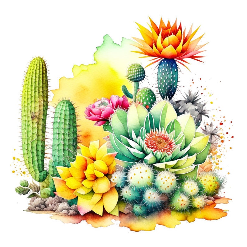 Flowering Cacti Digital Art | Cactus Clipart | 10 High Quality Jpgs ...