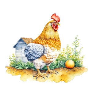 Hamburg Chicken Digital Art | Chickens Clipart | 15 High Quality Jpgs ...