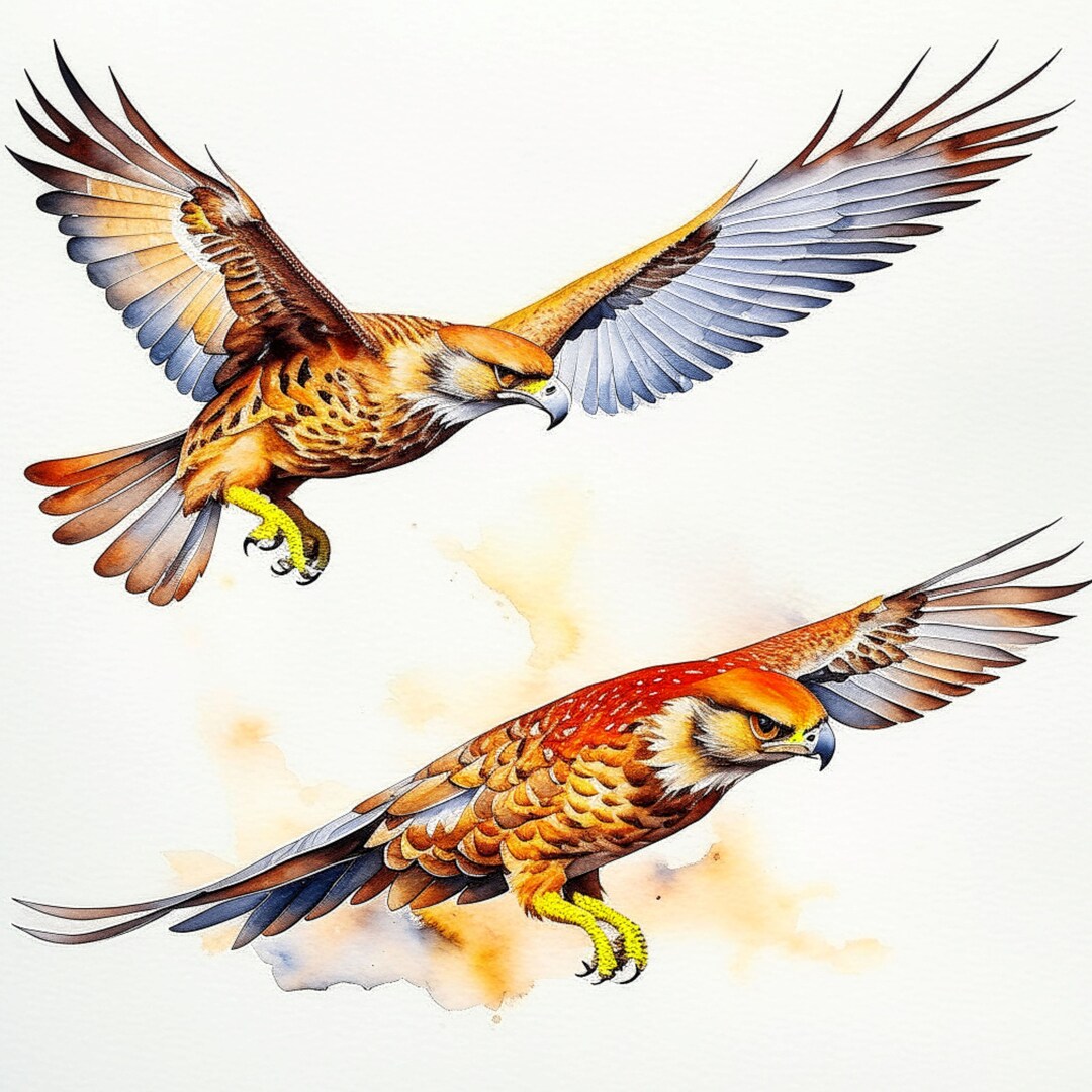 Peregine Falcon Digital Art | Birds Clipart | 10 High Quality Jpgs ...