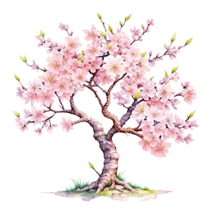 Cherry Blossoms Digital Art | Clipart | 10 High Quality Jpgs | Digital ...