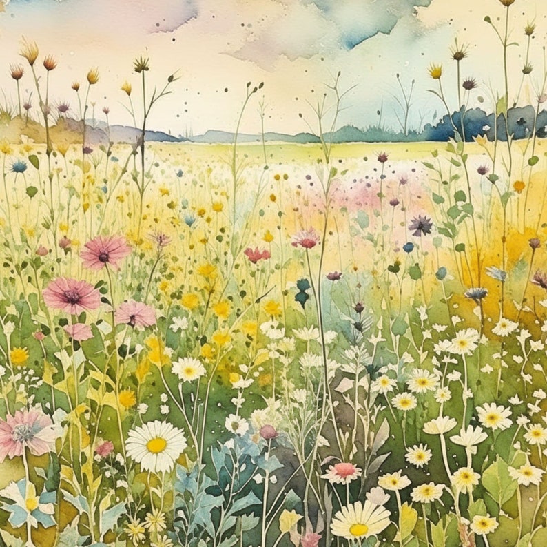Wildflower Fields Digital Art | Clipart | 15 High Quality Jpgs ...