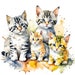 Kittens Digital Art | Clipart | 15 High Quality Jpgs | Cats Digital ...