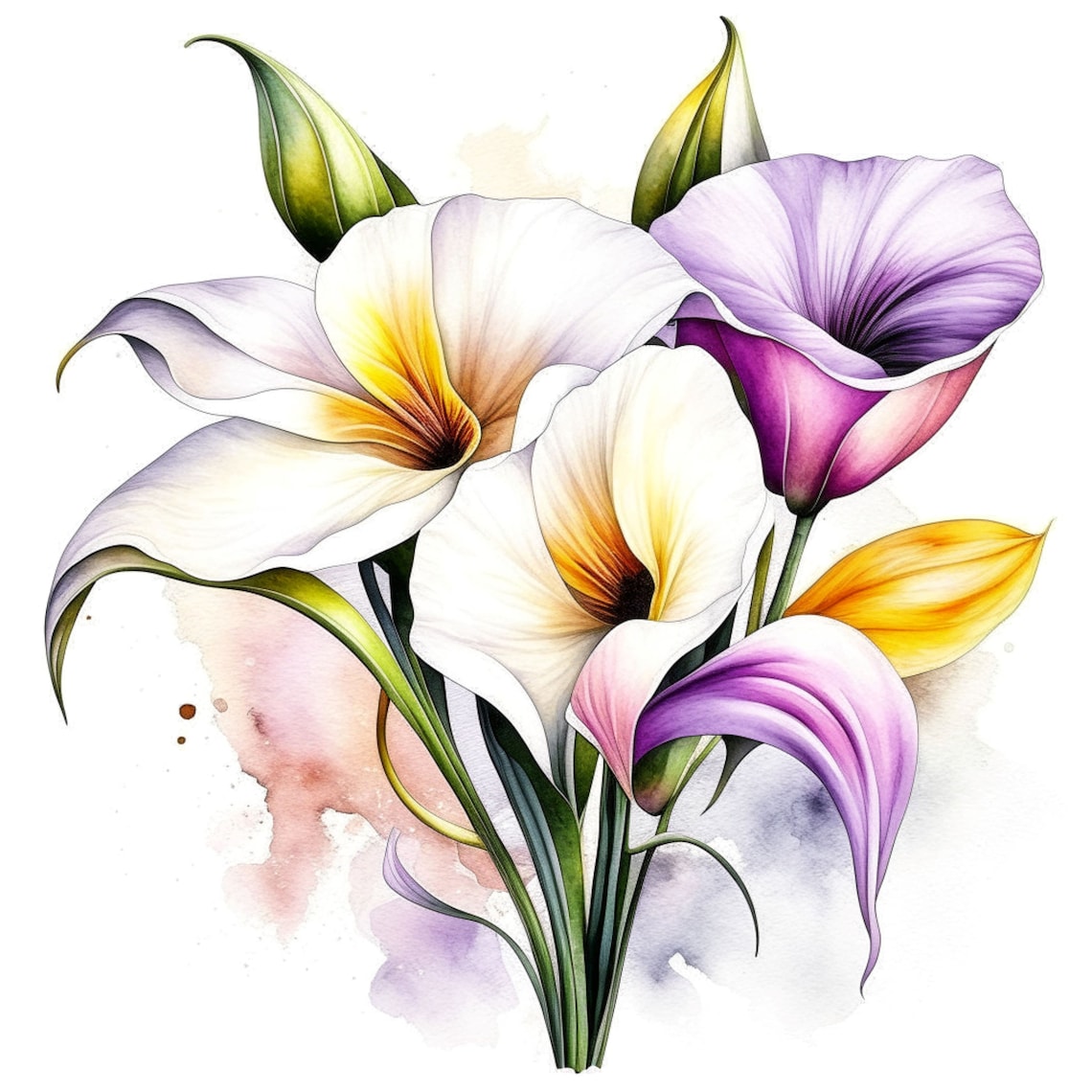 Calla Lily Digital Art | Flowers Clipart | 15 High Quality Jpgs ...