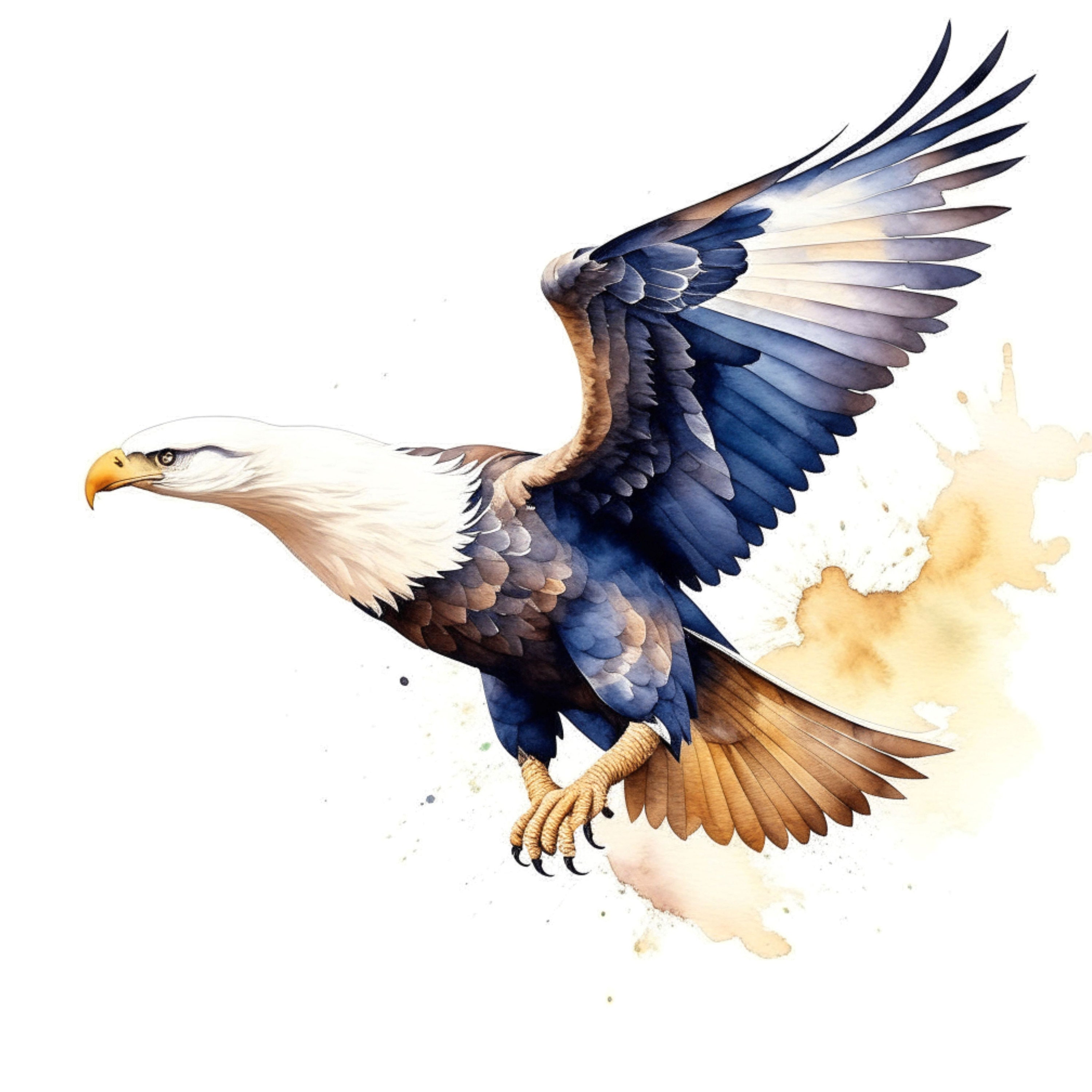 Bald Eagle Digital Art | Birds Clipart | 10 High Quality Jpgs | Digital ...