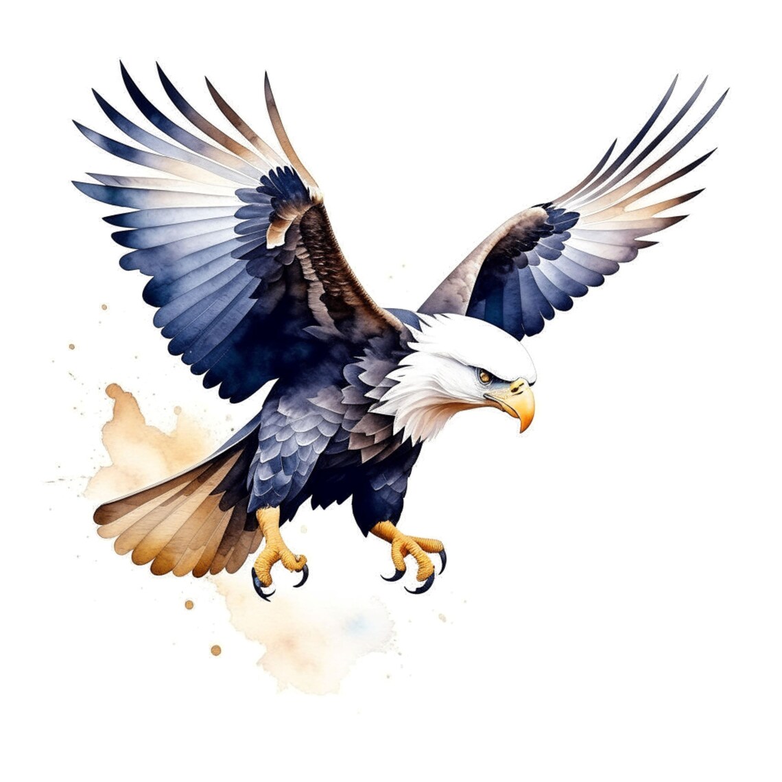 Bald Eagle Digital Art Birds Clipart 10 High Quality Jpgs Digital ...