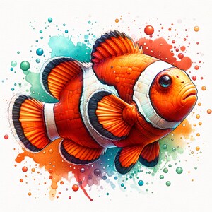 Clownfish Digital Art | Clipart Bundle | 15 High Quality Jpgs | Digital ...