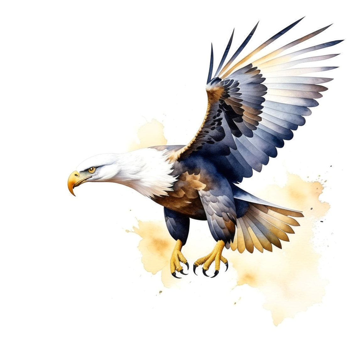 Bald Eagle Digital Art Birds Clipart 10 High Quality Jpgs Digital ...