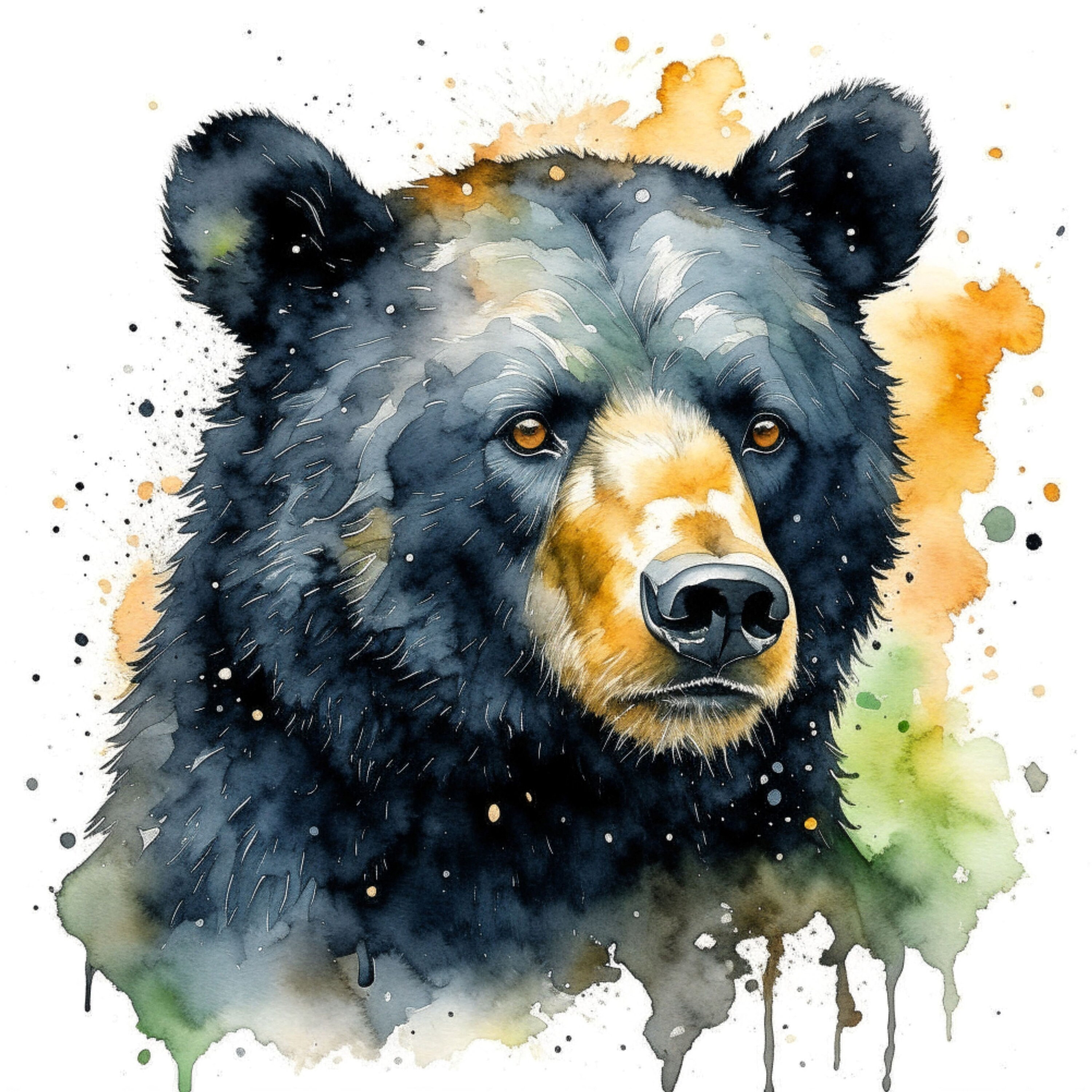 Watercolor Bear Digital Art | Bears Clipart | 10 High Quality Jpgs ...