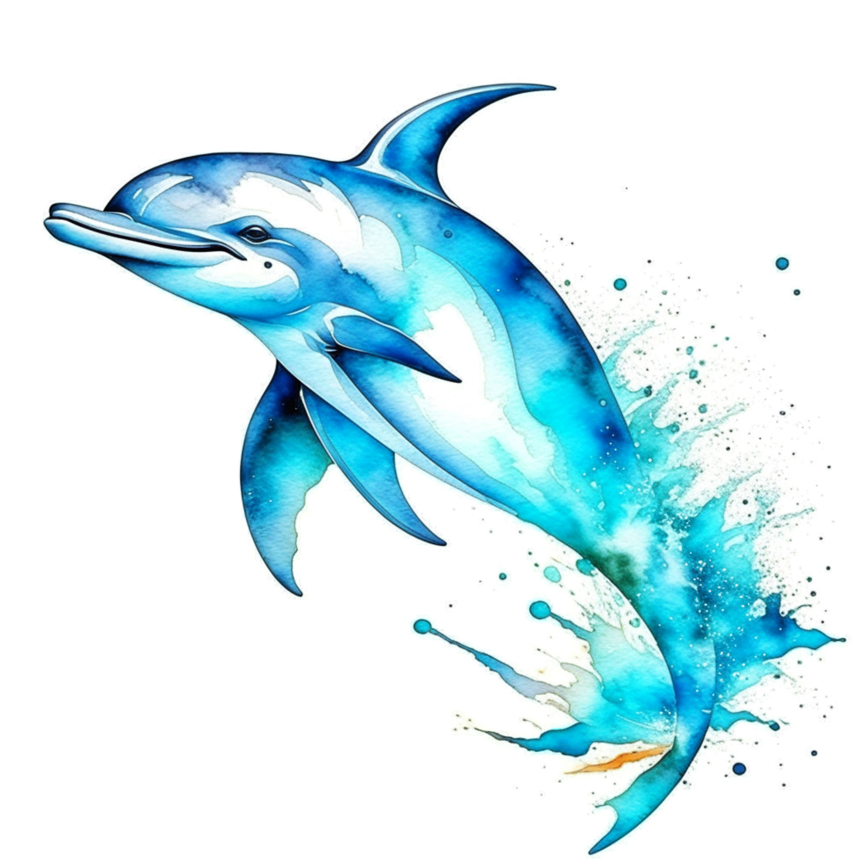 Dolphins Digital Art Clipart 10 High Quality Jpgs Digital Download AI ...