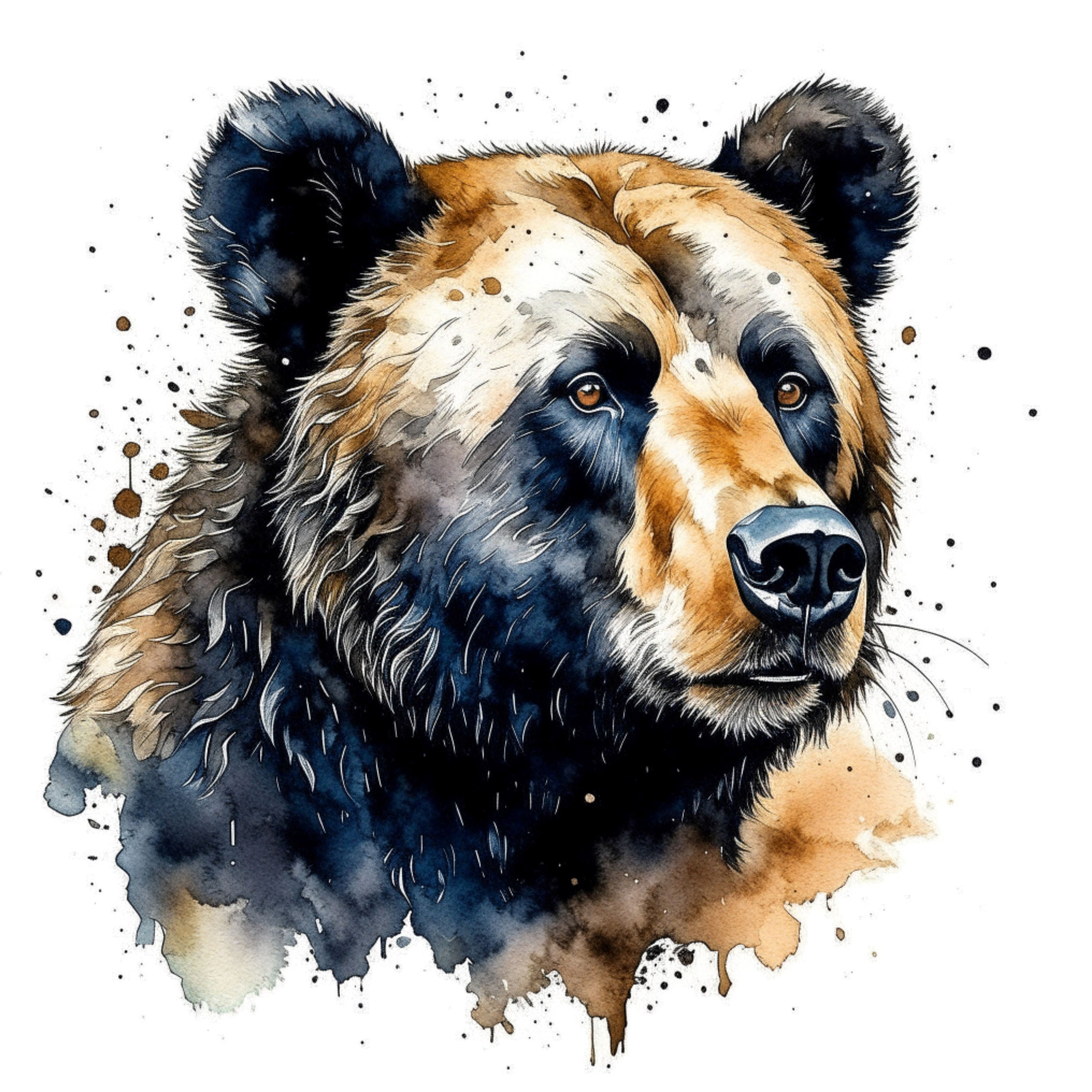 Watercolor Bear Digital Art Bears Clipart 10 High Quality Jpgs Digital ...