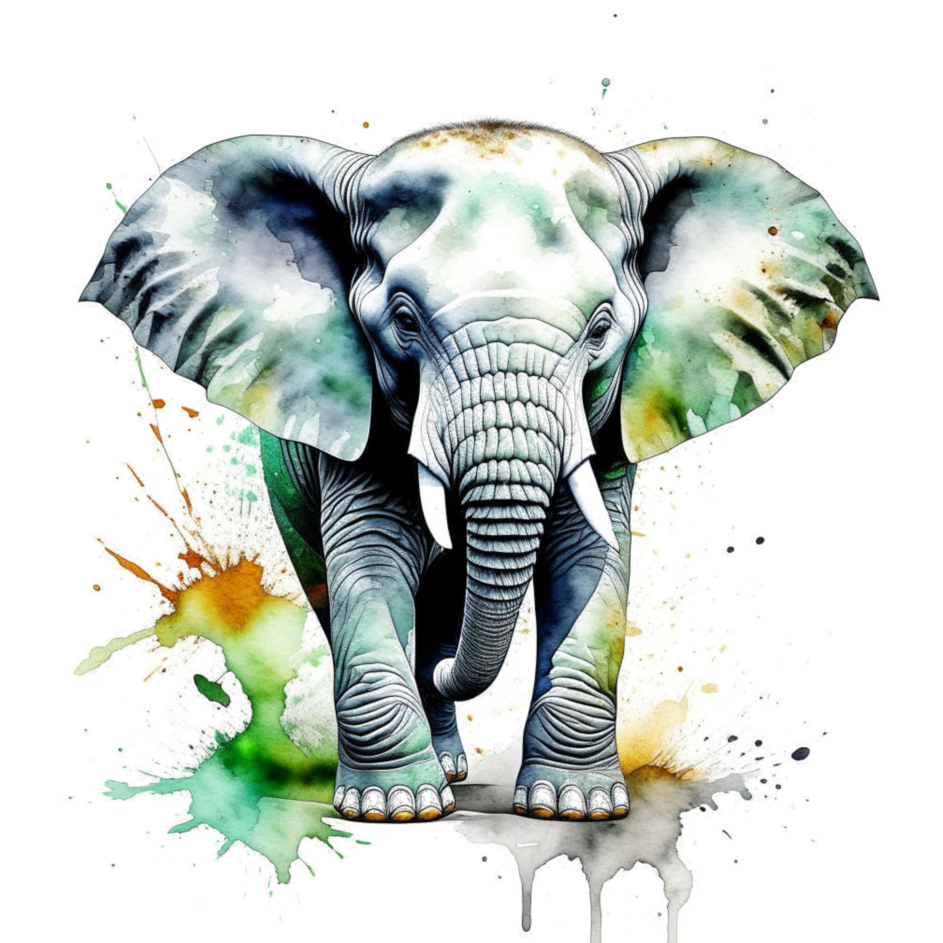 Baby Elephant Digital Art | Elephants Clipart | 15 High Quality Jpgs ...