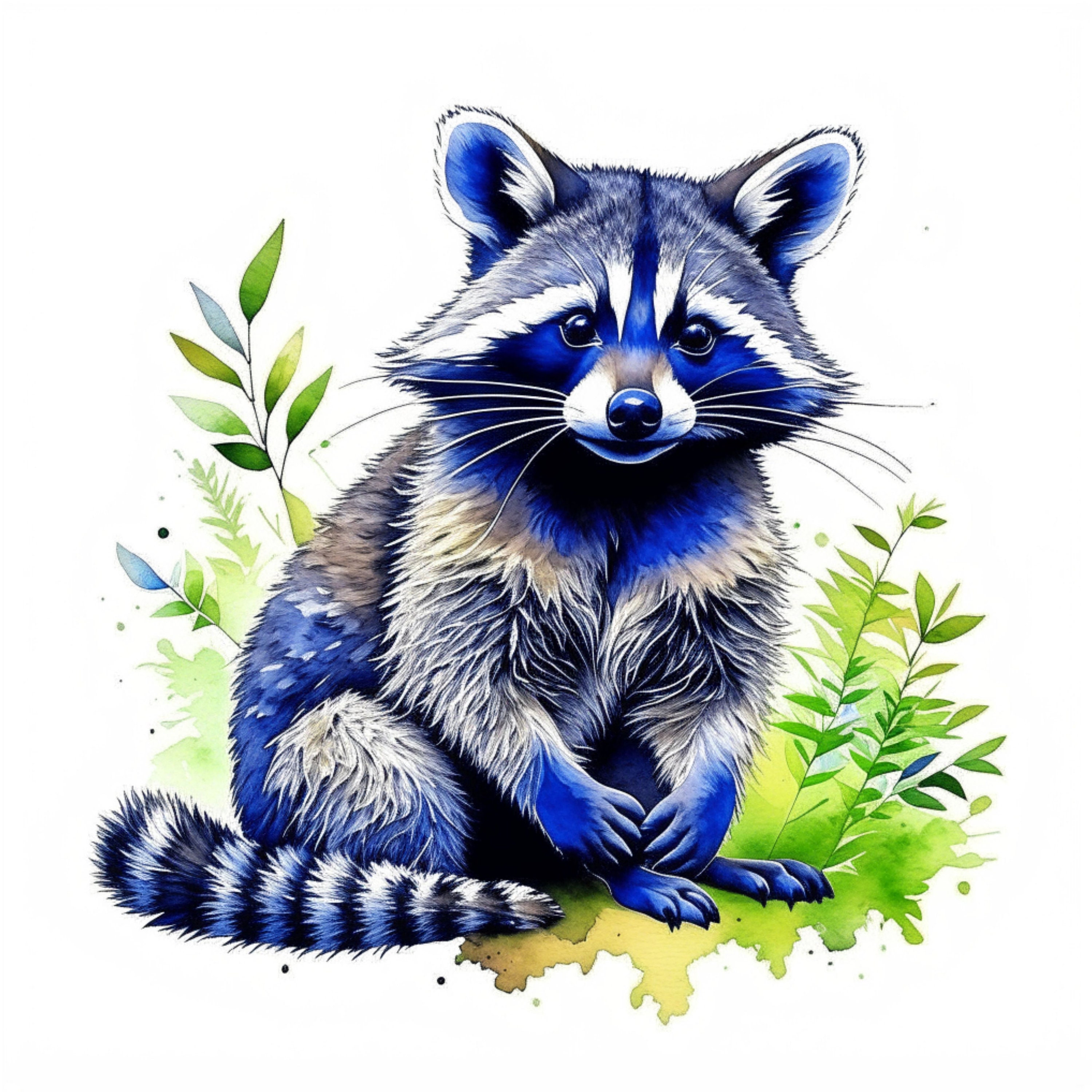 Raccoon Digital Art | Raccoon Clipart | 10 High Quality Jpgs | Digital ...