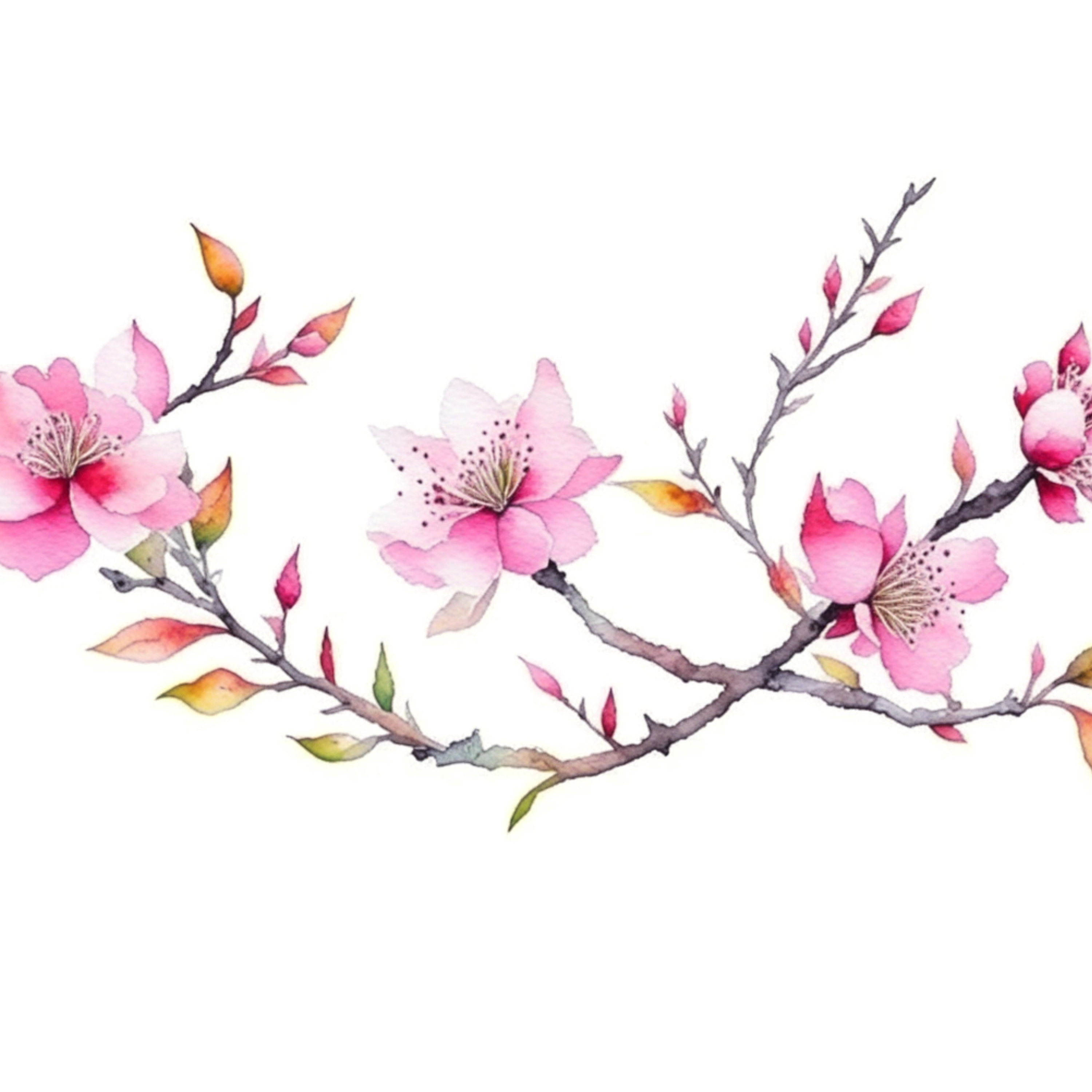 Cherry Blossoms Digital Art | Clipart | Cherry Blossom 15 High Quality ...