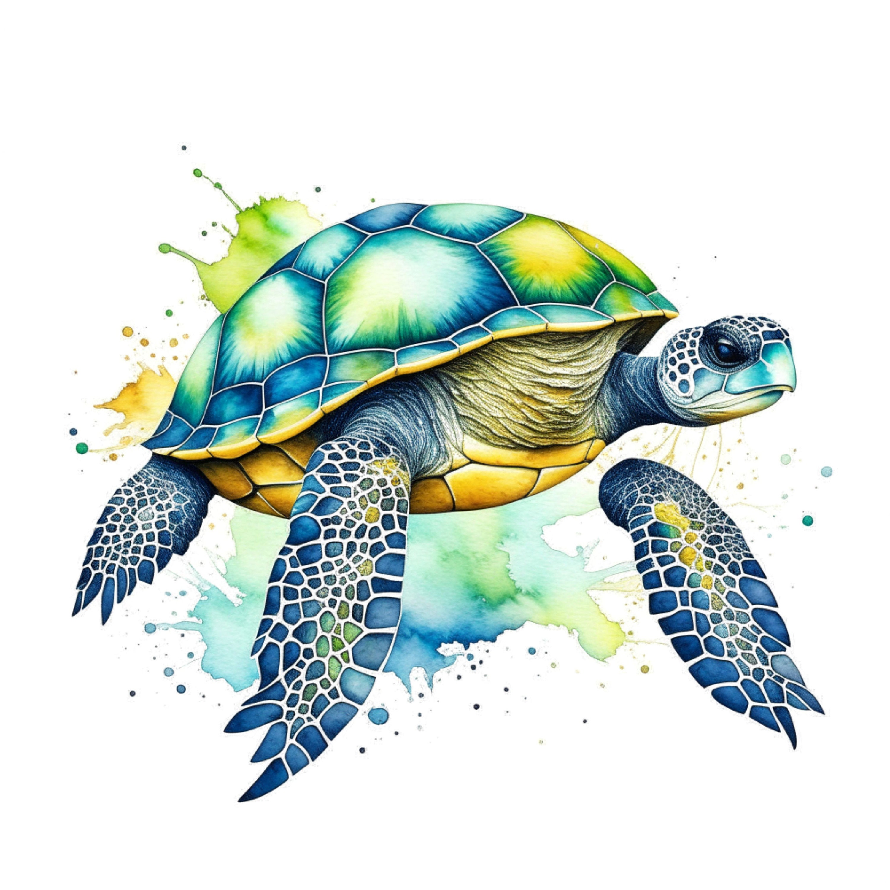 Sea Turtles Digital Art | Sea Tuttle Clipart | 10 High Quality Jpgs ...
