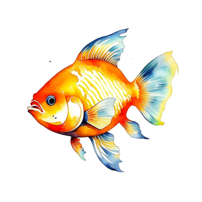 Goldfish Digital Art Clipart 10 High Quality Jpgs - Etsy