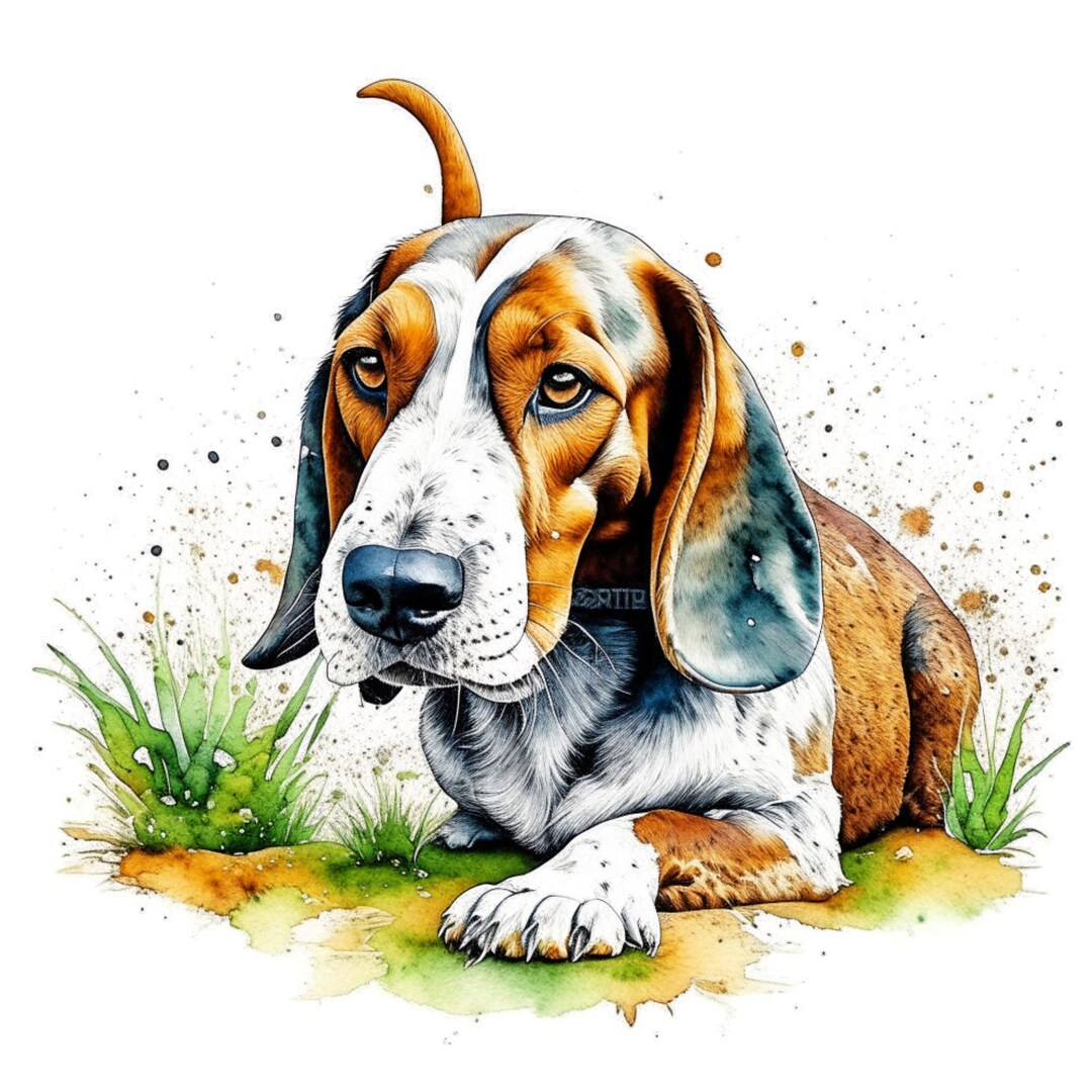 Basset Hound Dogs Digital Art | Dog Clipart | 15 High Quality Jpgs ...